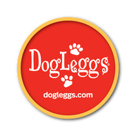 Dog Leg Braces & Custom Supports | Vet-Recommended